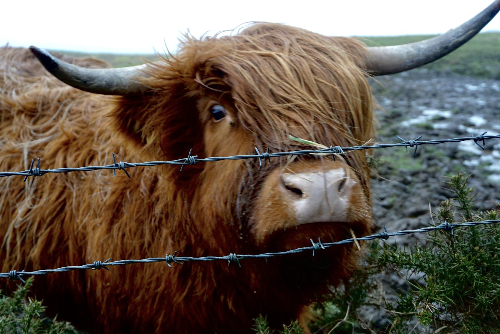 Where The Fork Are We - Travel, Eat, Drink, Repeat